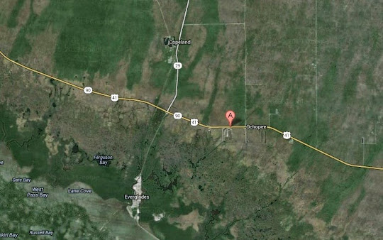 Report from the Florida Zone: Ervin T. Rouse