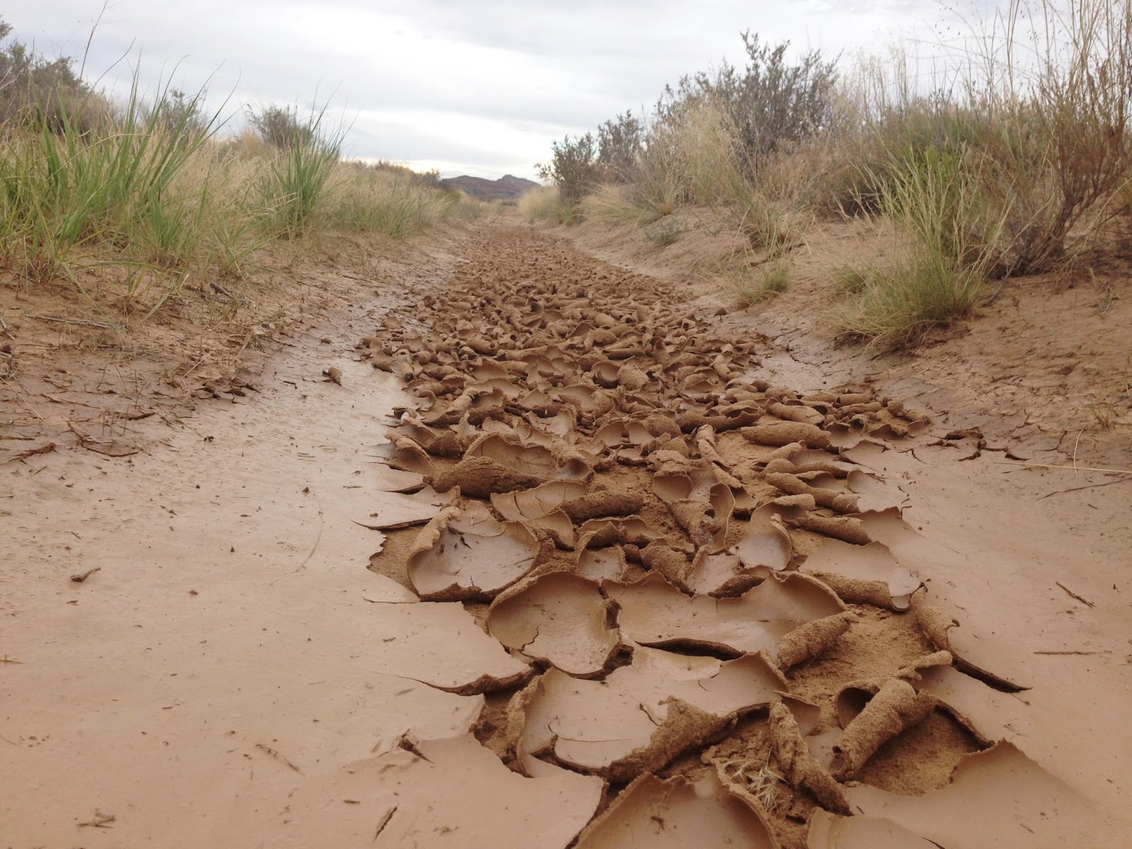 such stuff as dreams are made on