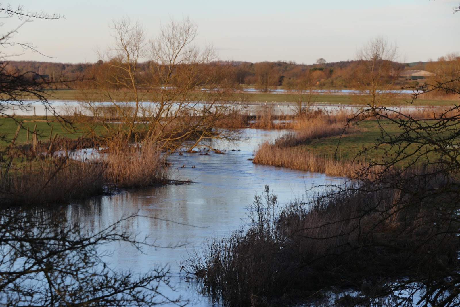 Nature in the Heart of England: Banbury and the Cherwell Valley ...