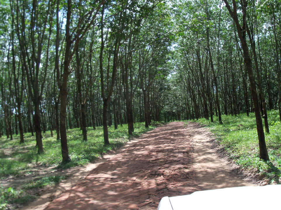 Bangladesh Unlocked: FOLLOW THE YELLOW AND RED BRICK ROAD
