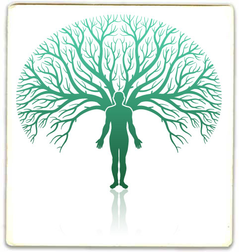 Estudio Biblia: GENESIS 4 & 5: La Descendencia