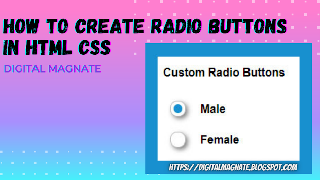 How To Create Radio Buttons In HTML CSS - Navigating the Digital ...