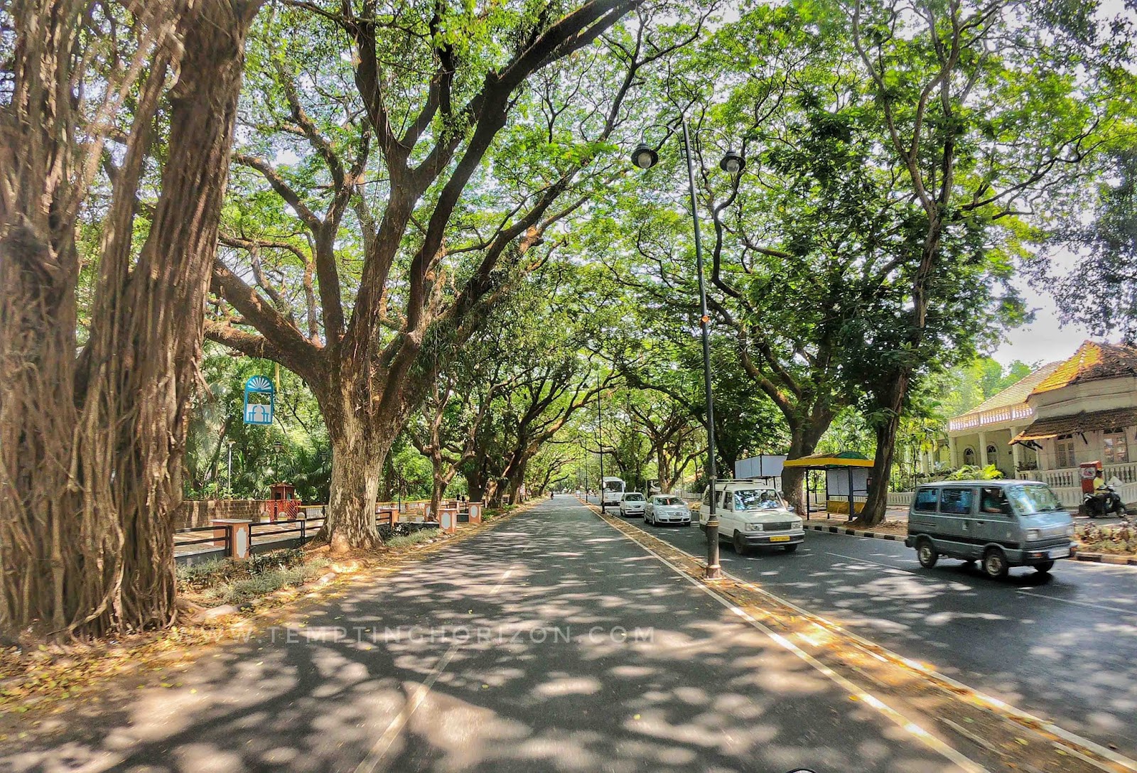 5 reasons why 'A Road Trip to Goa' is a must! - TEMPTING HORIZON
