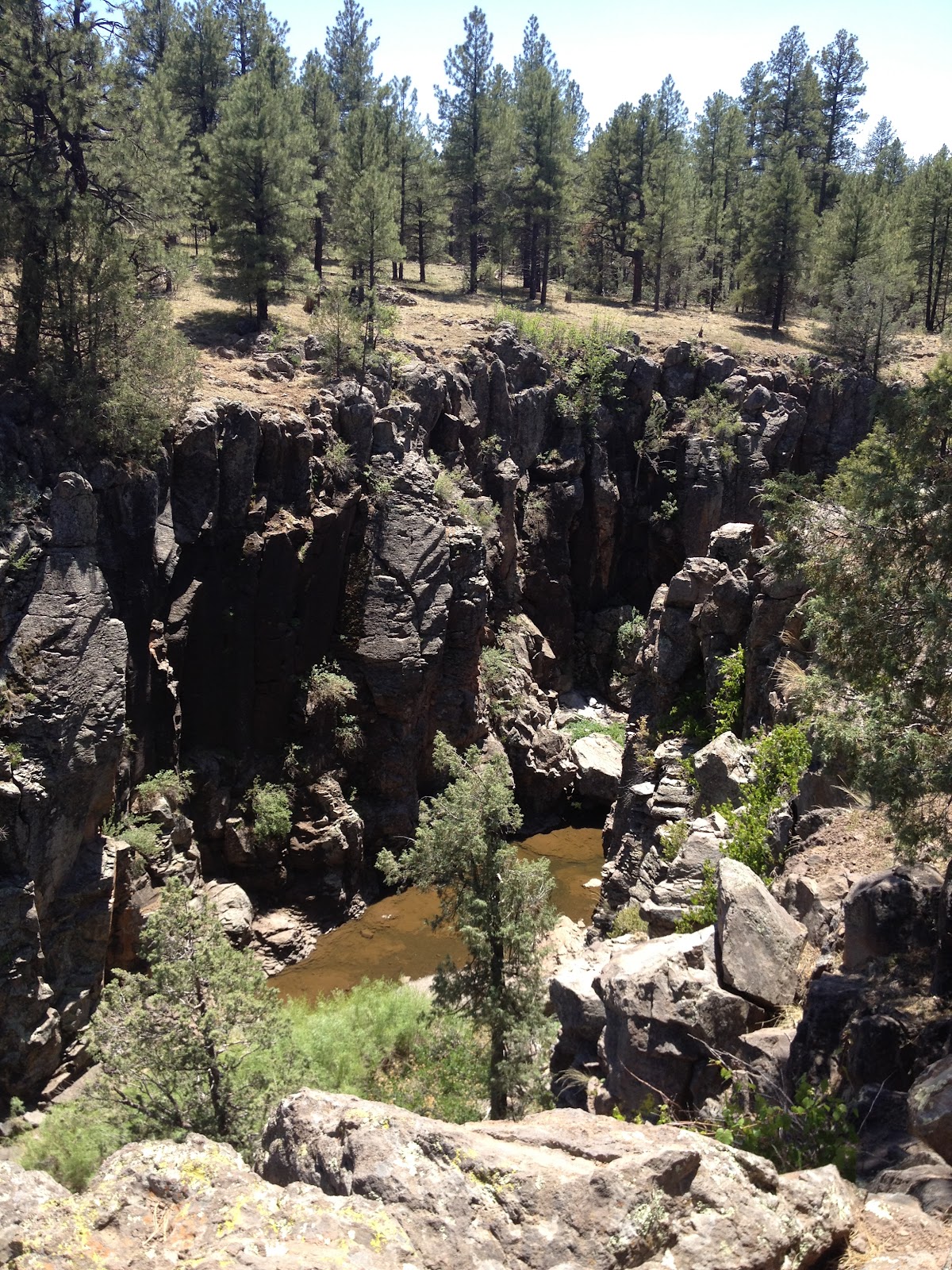 50 Hikes for My 50th!: Hike #37 - Sycamore Rim Trail, Williams, AZ