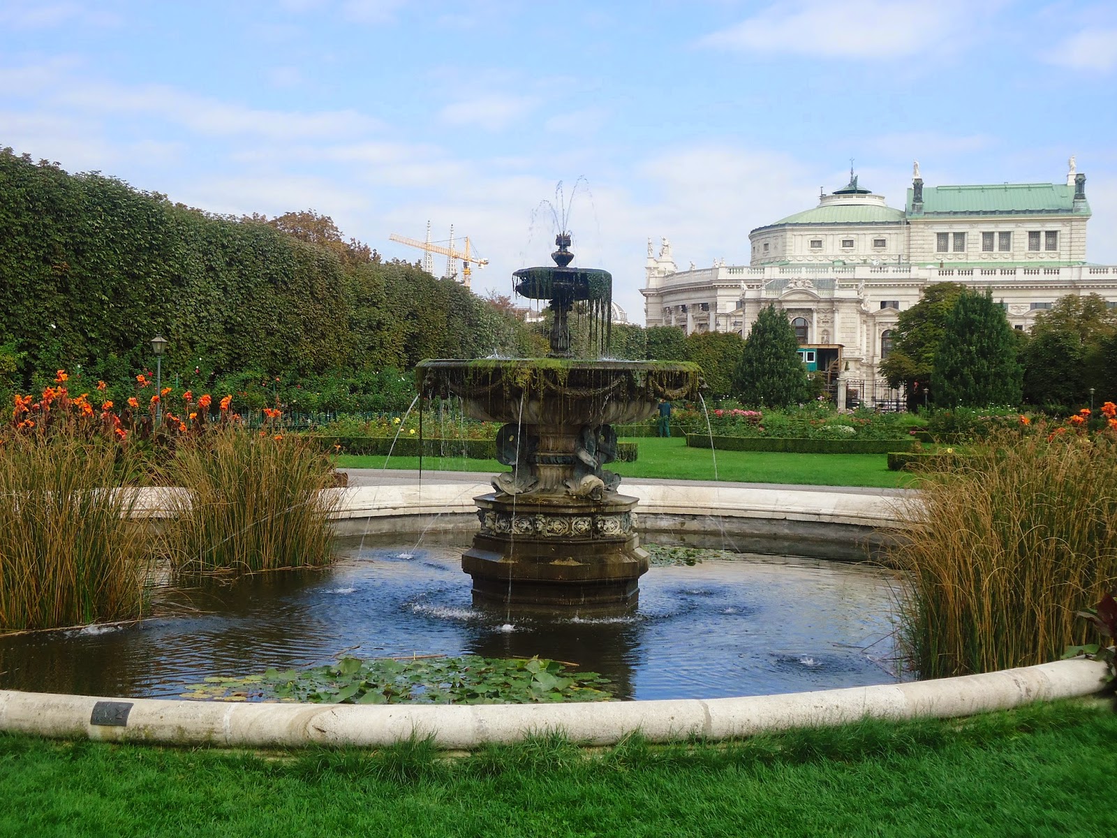 Treetuesdaypicture - Volksgarten - Wien / Vienna - Austria