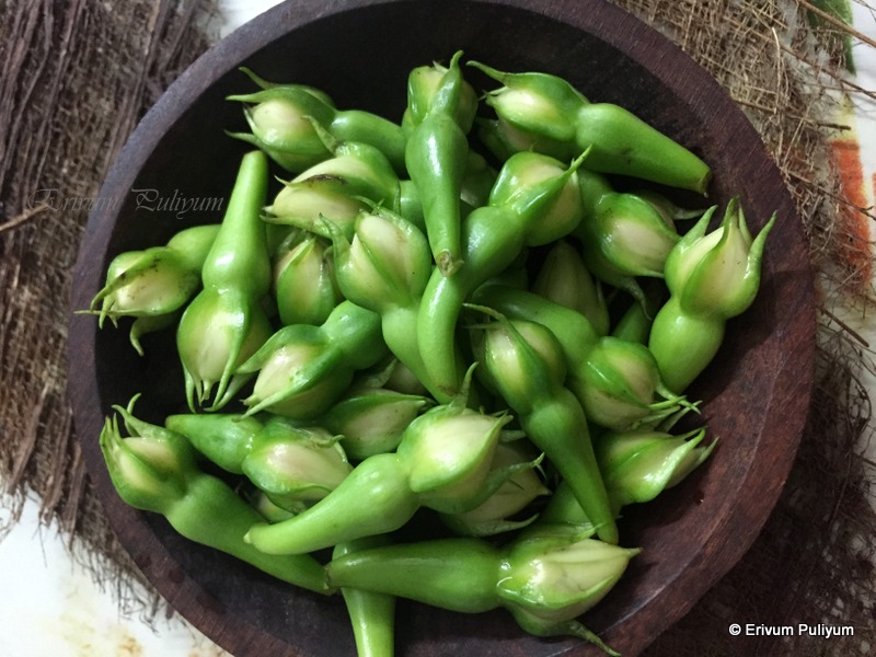 Erivum Puliyum: Nithya Vazhuthana (Vazhuthananga) Mezhukuparetti ...