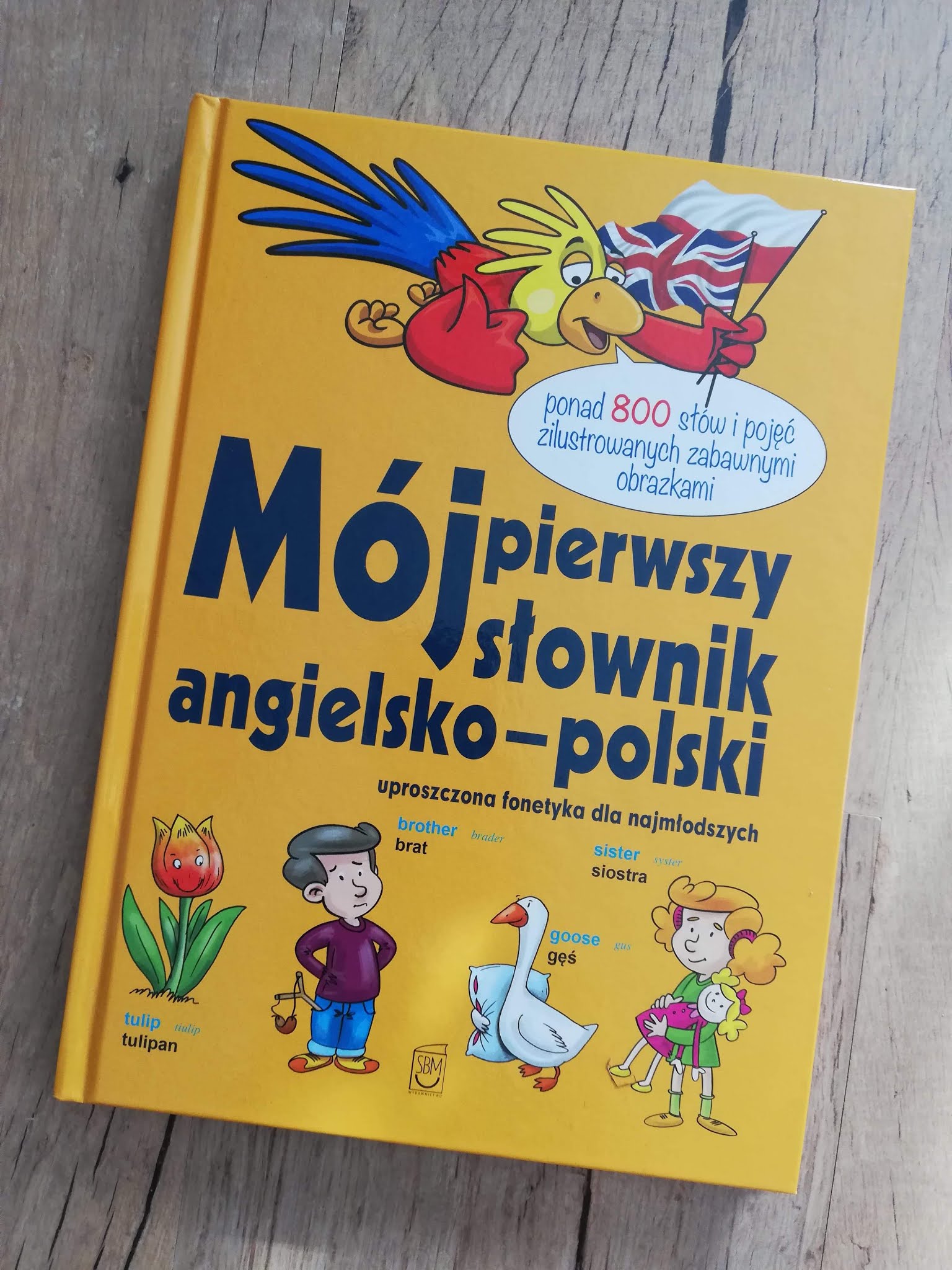 Mój pierwszy słownik angielsko-polski - Wydawnictwo SBM - Atrakcyjne ...