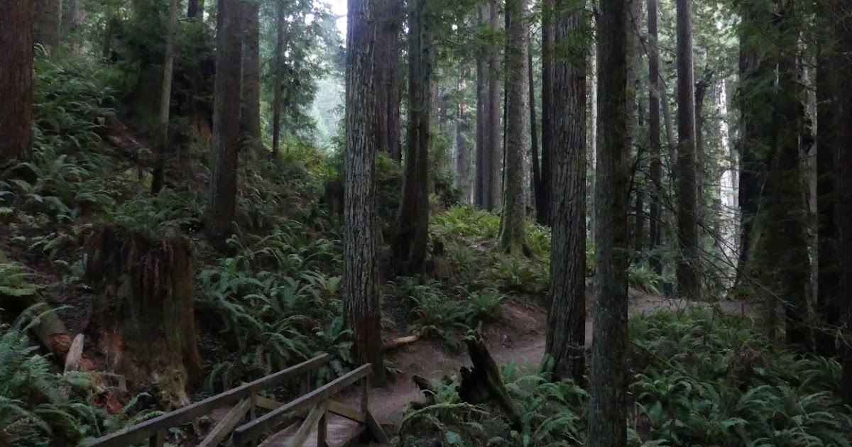 Redwood Park to Loop 8 and more wandering