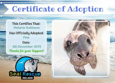 Saving Two Birds With One Gift, Christmas And Wildlife Aid - Purity ...