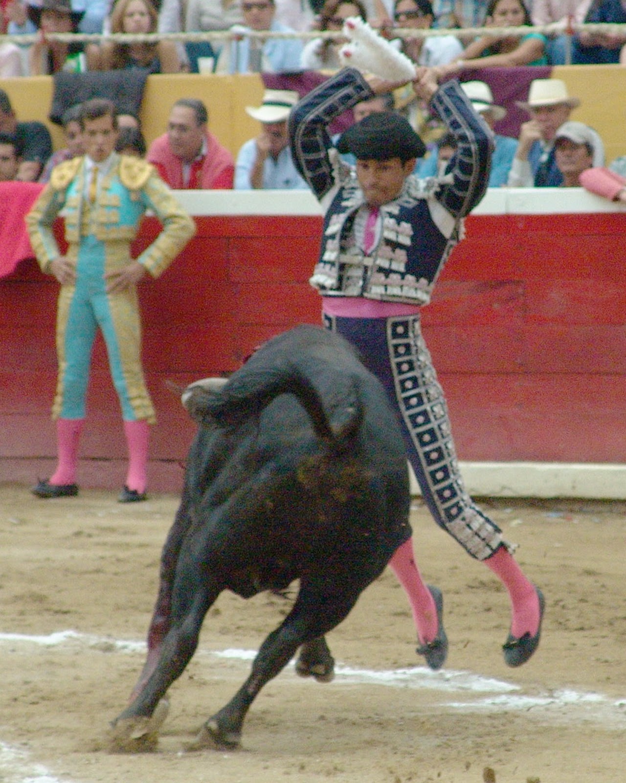 Del toro al infinito: VENEZUELA: NUEVA ASOCIACIÓN DE PICADORES Y ...