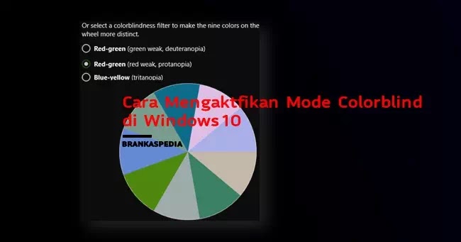 Cara Mengaktifkan Mode Colorblind Windows 10 - Brankaspedia - Blog ...