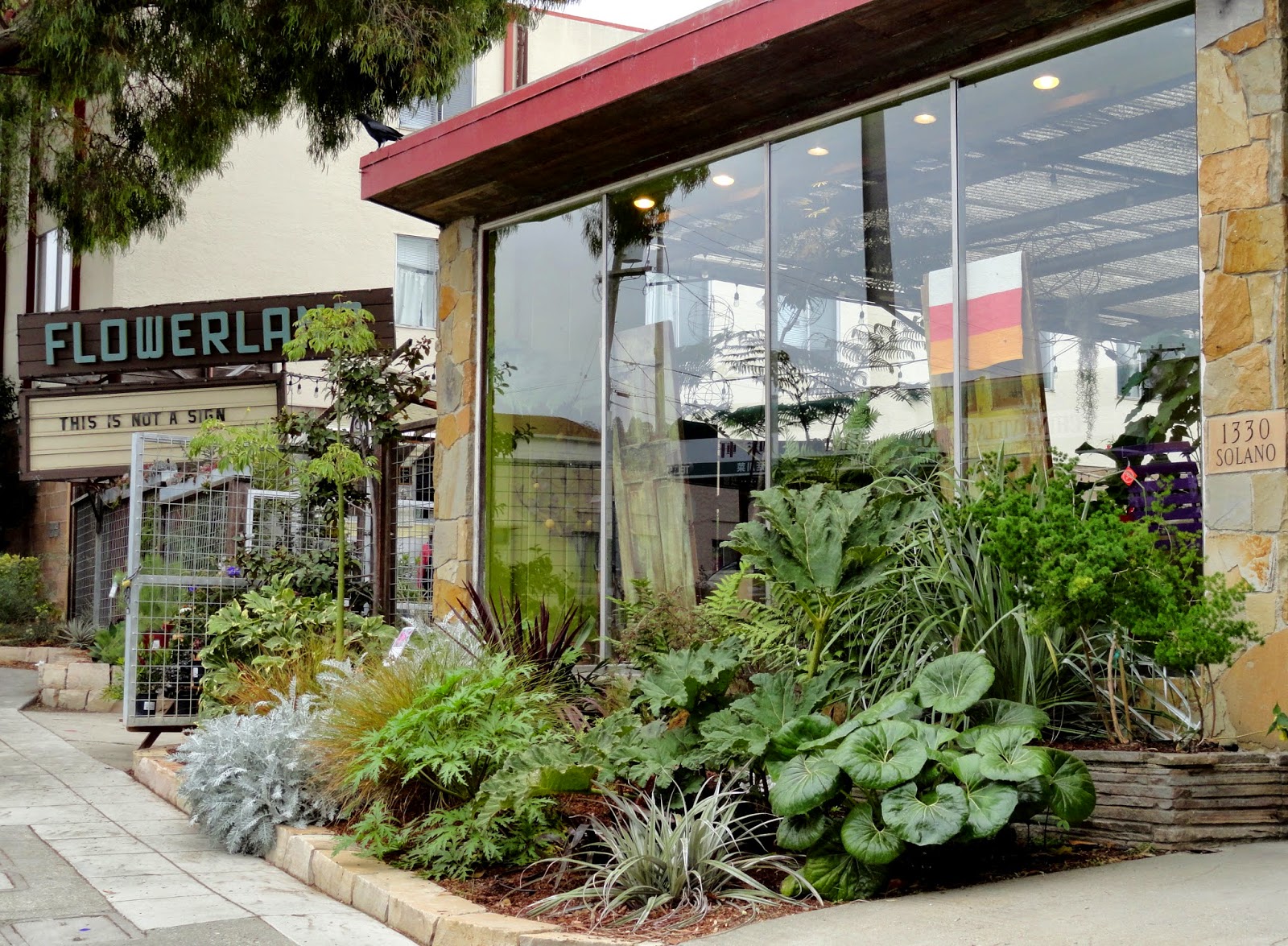 danger garden: Visiting Flowerland...