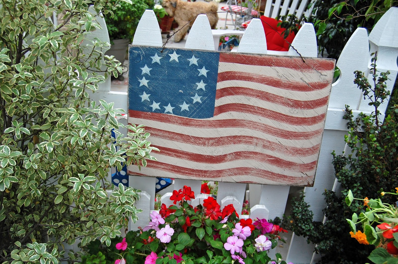 My Painted Garden: Flags In My Garden