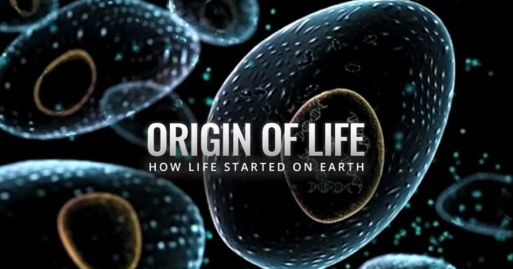 How did life begin on Earth? | How did first life Began on Earth | how ...