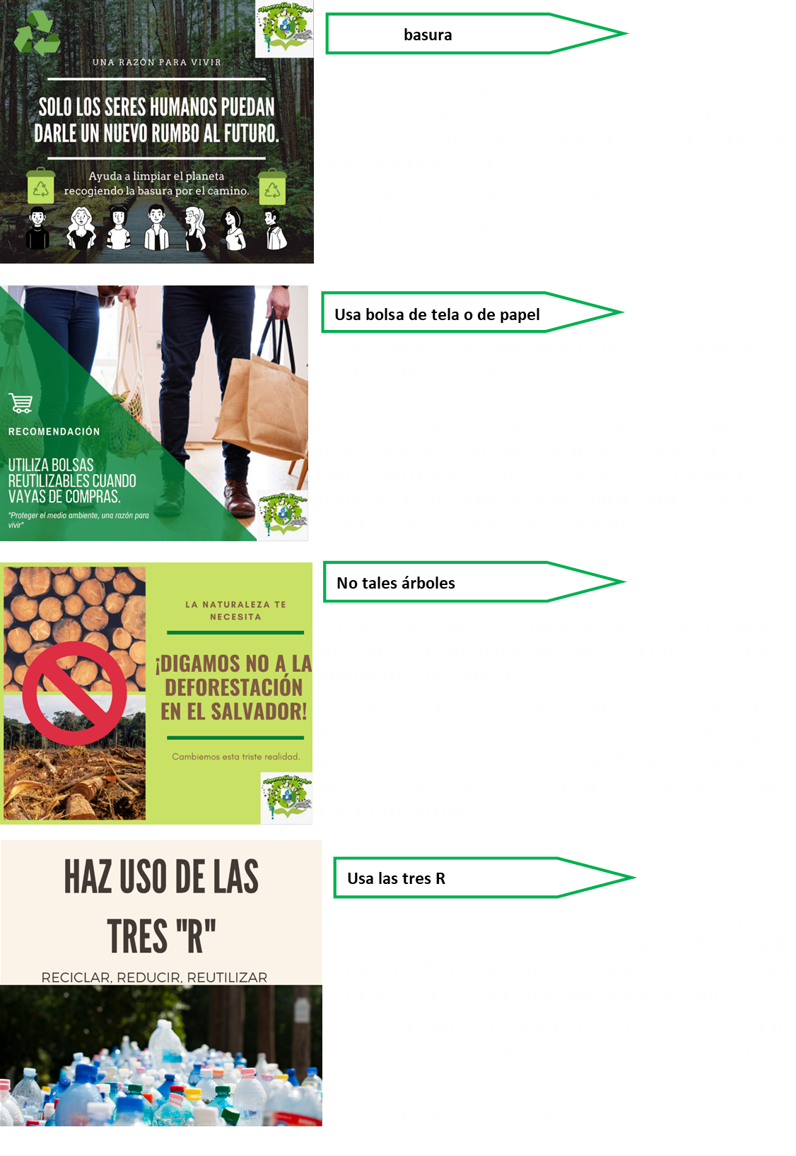 ¿Cómo cuidar el medio ambiente?