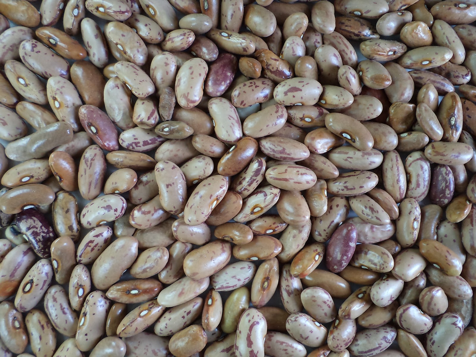 Mouthwatering Food Recipes: 191) RAJMA BENDI