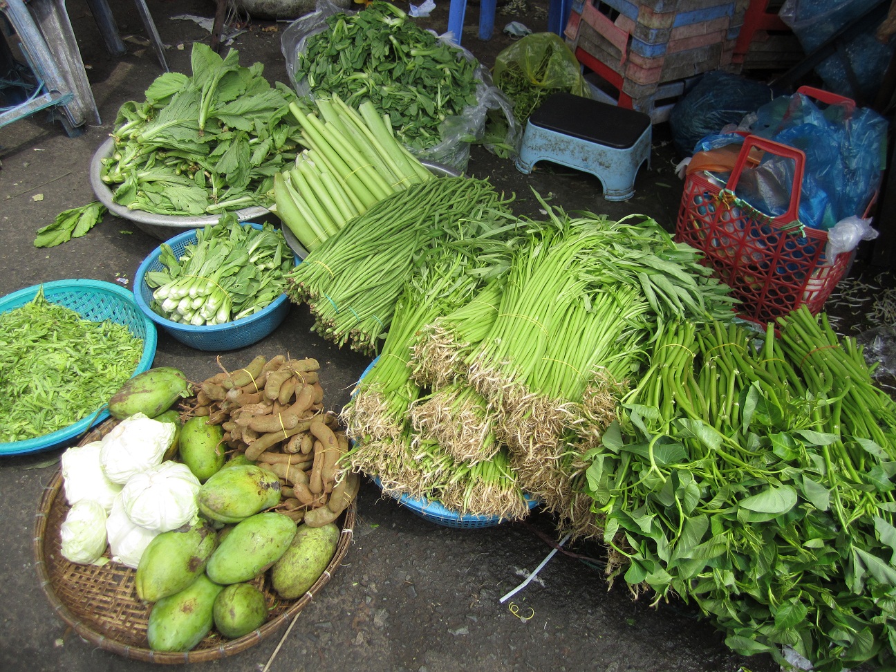 Wonders of the World: Vegetables of southeast Asia
