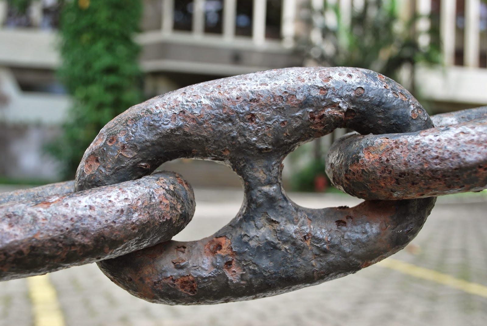 Finding JOY in every day: March 2014