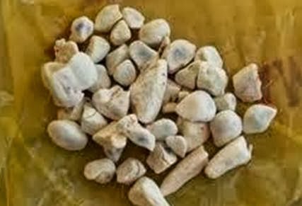 LUANDA TROPICAL: FRUTOS DE ANGOLA