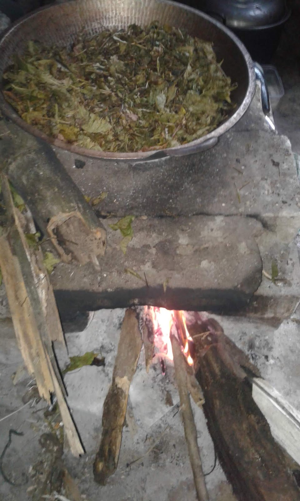 Proses pembuatan daun teh menjadi teh seduh