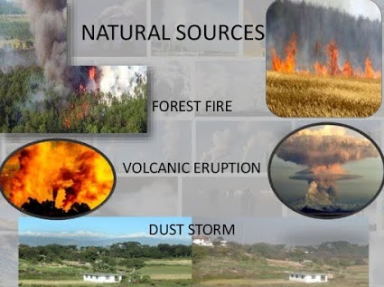 Environmental Pollution: Sources of Air Pollution