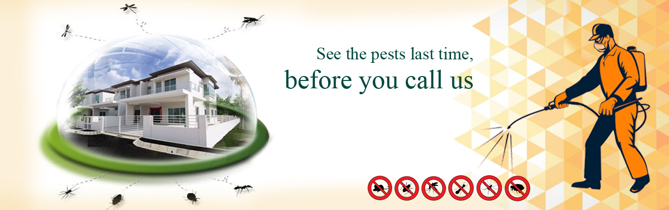 The Important Benefits of Regular Pest Control in Model Town