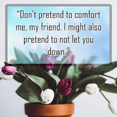 Comfort quotes comfortness quotes comforting quotes
