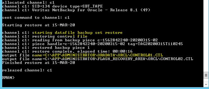 Remote Infrastructure Management: NetBackup - Performing ORACLE ...