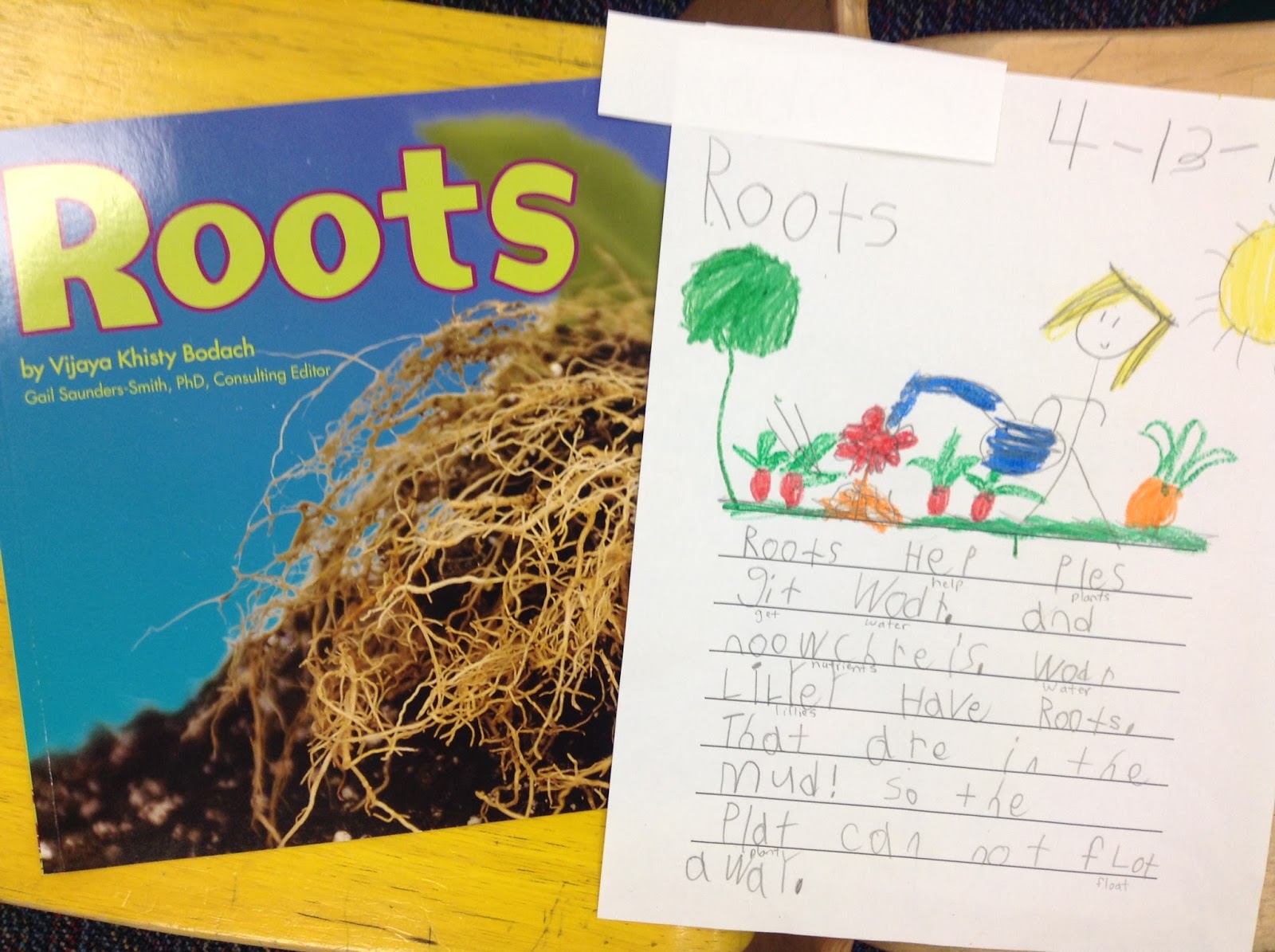 Dr. Clements' Kindergarten : Plants: Planting Seeds and Writing about ...