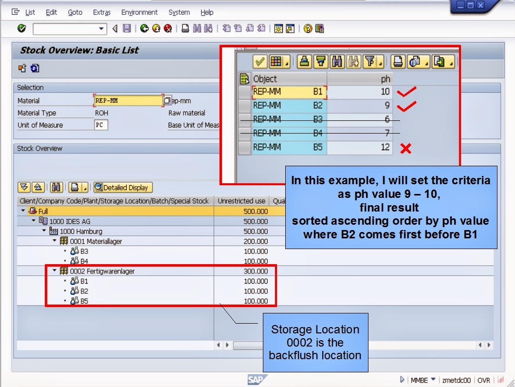 青蛙SAP分享 Learning & Examination: Batch Determination at REM Backflush ...