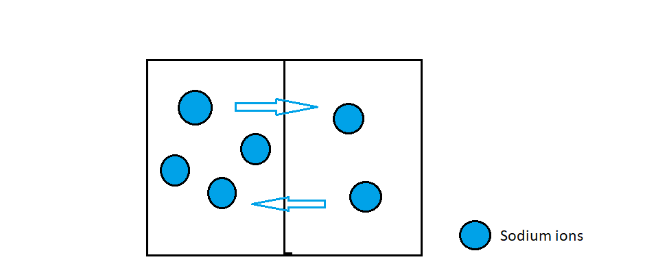 Gibbs-Donnan Equilibrium