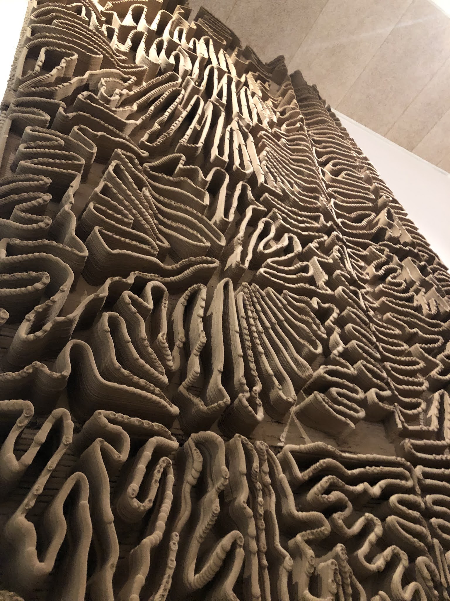 Marcos Cruz Architect