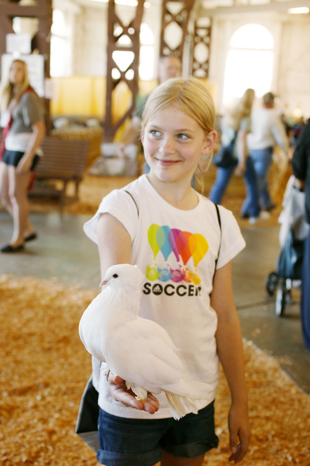 Views From My Window