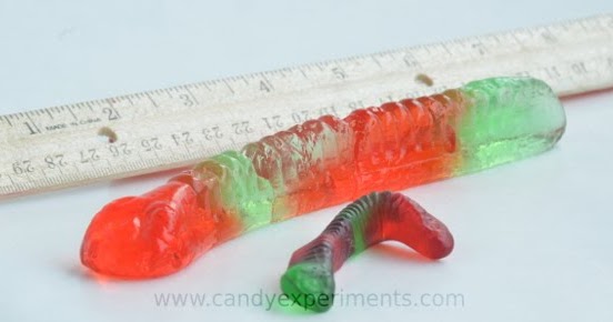 Candy Experiments: 3 Great Gummy Worm Science Experiments