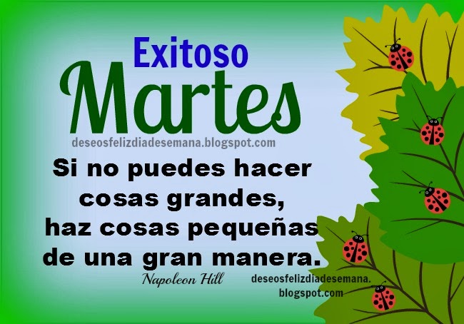 ☀️ Frases Motivadoras NUEVAS para comenzar el Día Martes | Imágenes y ...