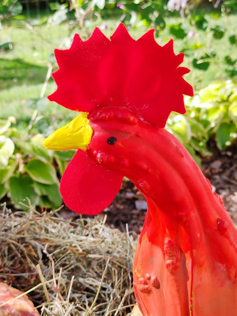 Did Your Pumpkin Become a Rooster? - Crafts a la mode