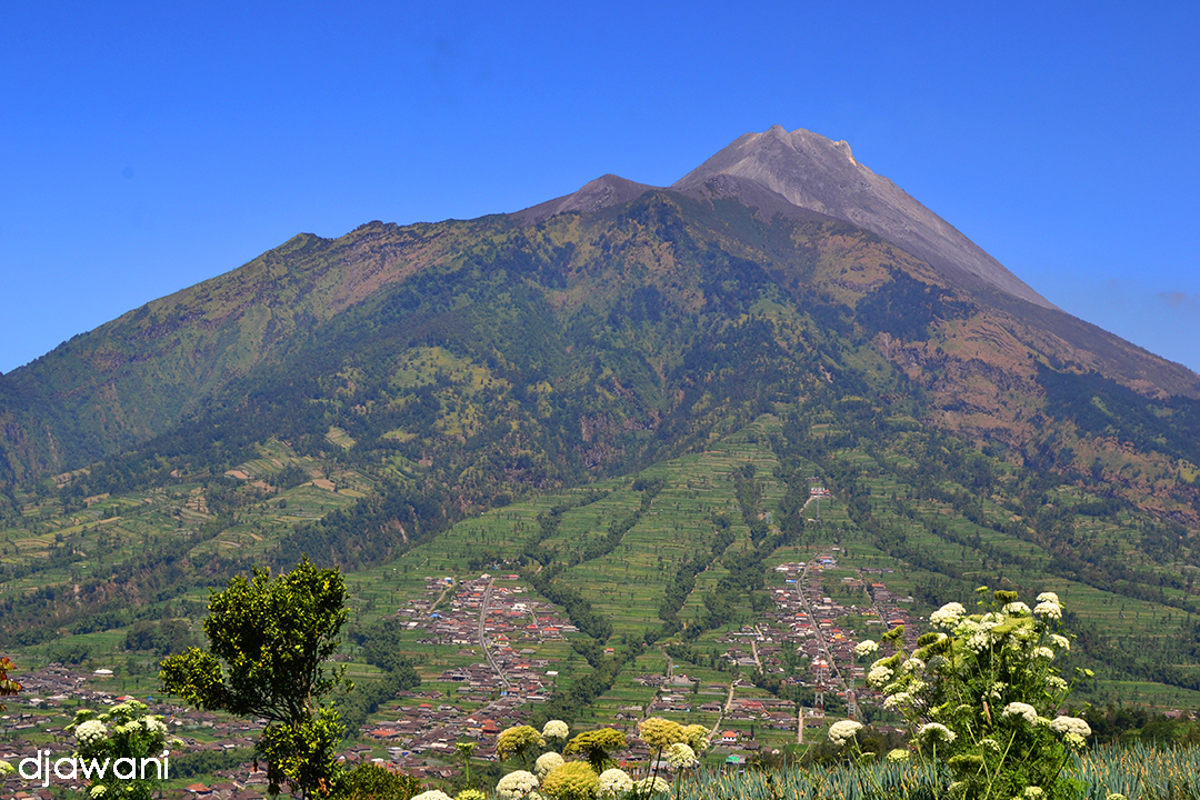 Merapi Garden Boyolali, Spot Terbaik Menikmati Panorama Gunung Merapi