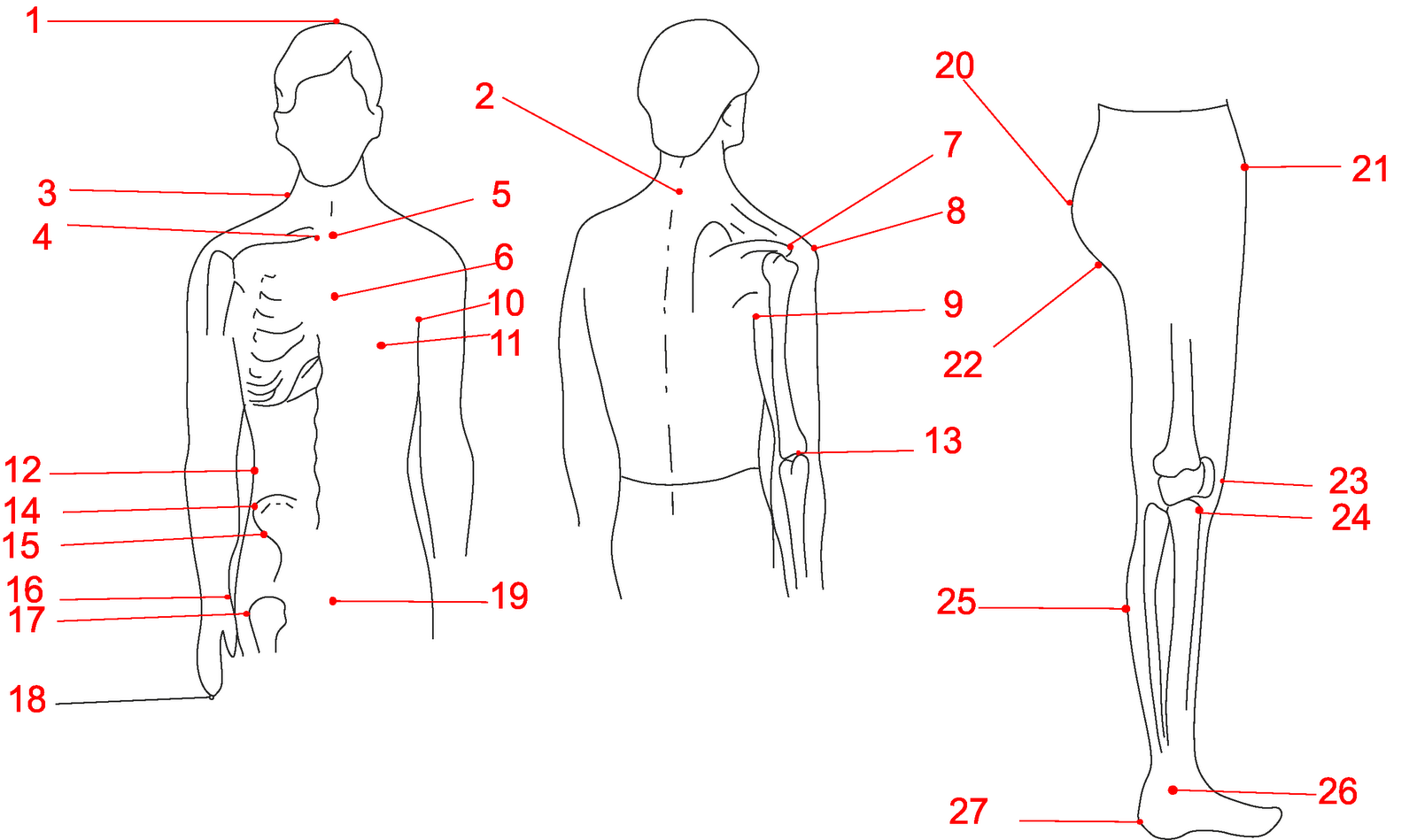 Tipare de croitorie: Definirea principalelor marimi antropometrice