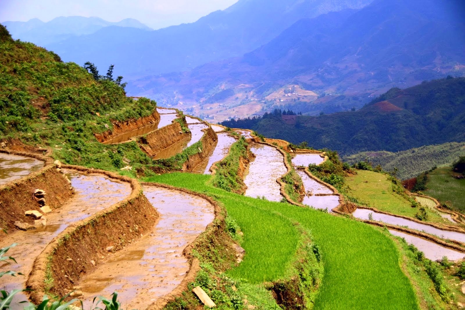 Fork It, Let's Travel!: Sapa Rice Terraces