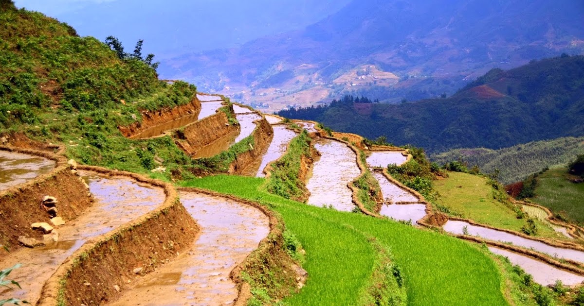 Fork It, Let's Travel!: Sapa Rice Terraces