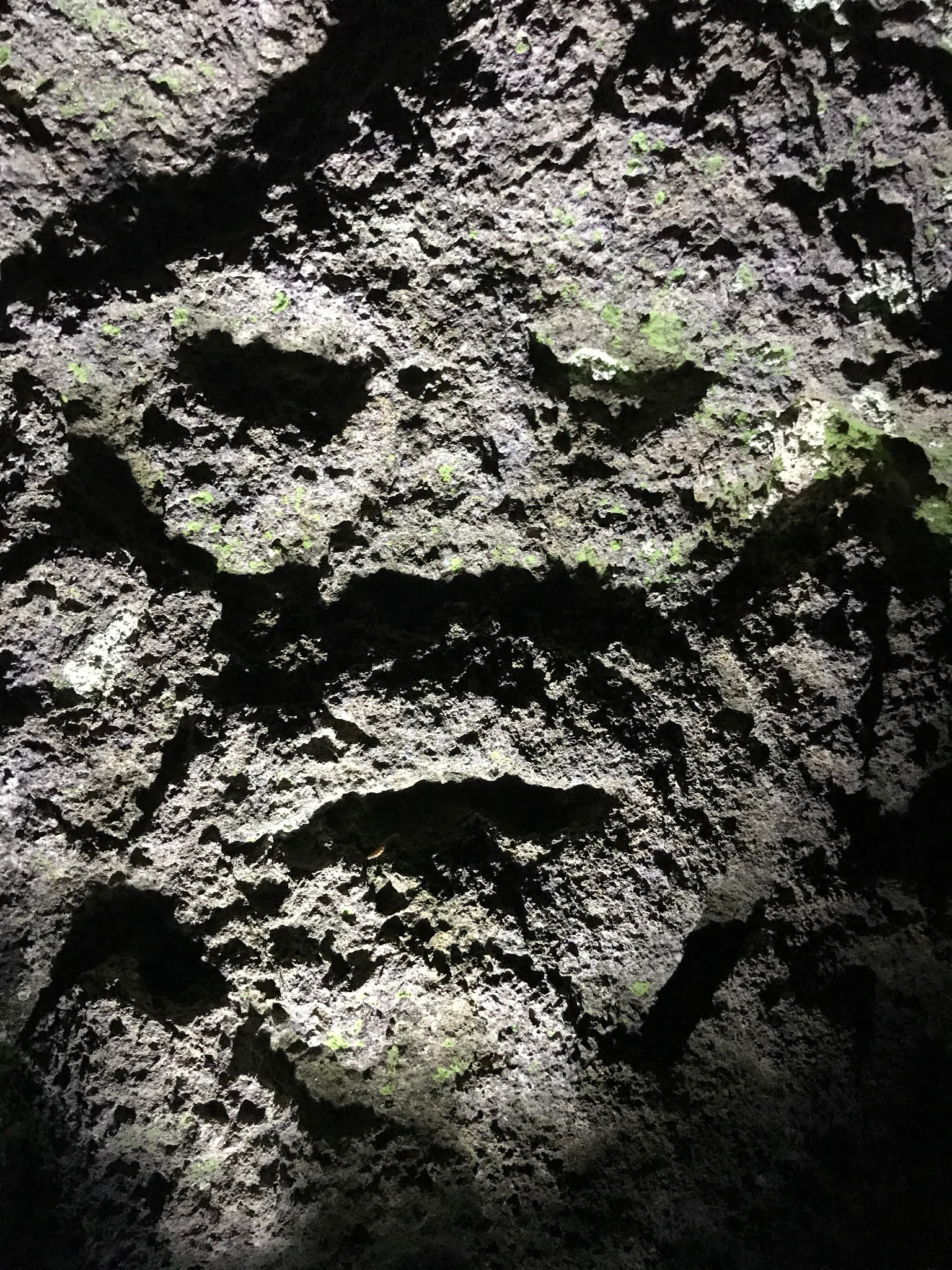 New World Explorers Society: Oklahoma Cryptids