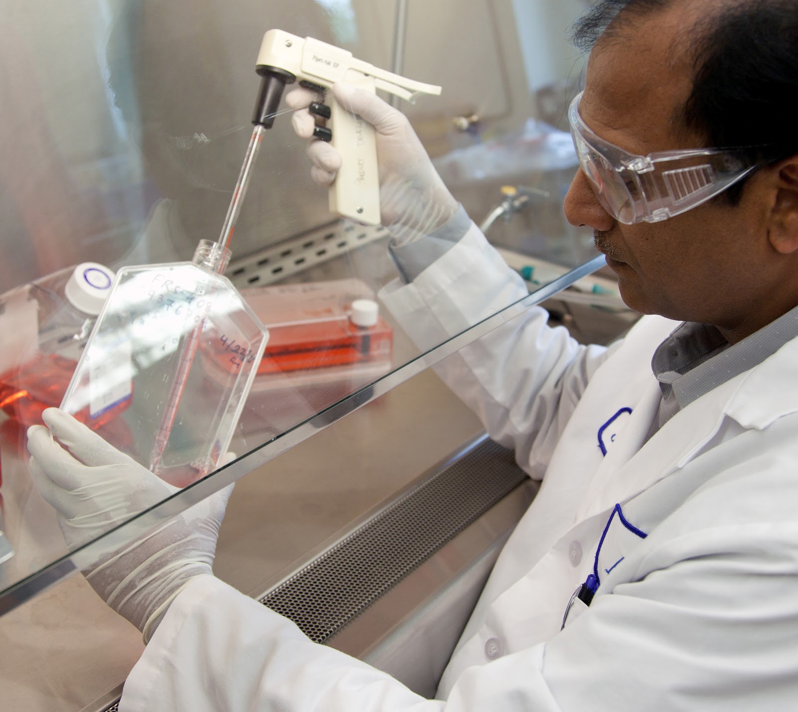 The Cell Culture Conversation: Tools for combating cell line ...