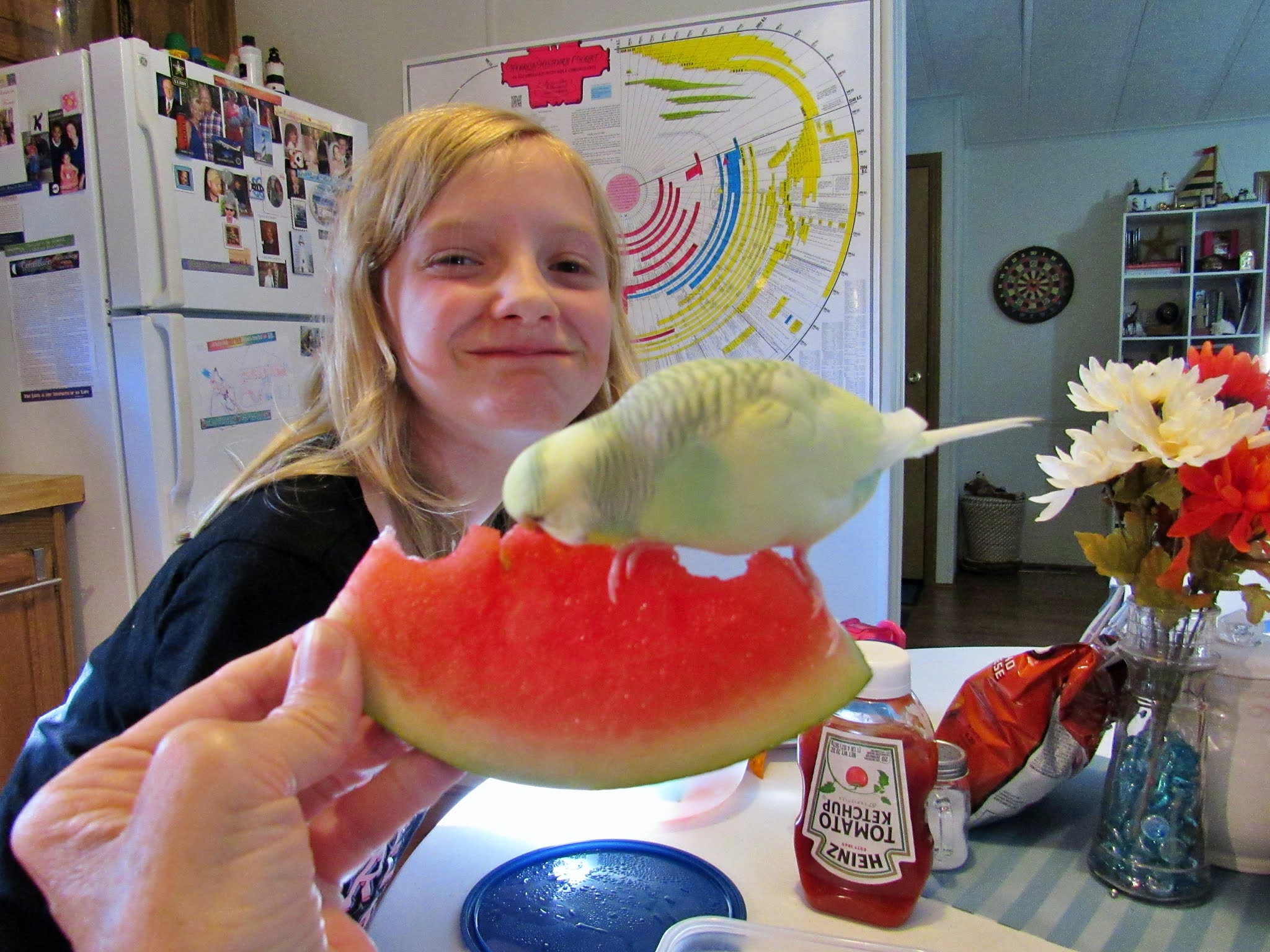 The Jones Family Junction: May 29 Kaity, Matey, Charlie & Sweetie