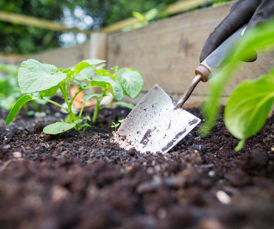 Merlins Micro World: Humus