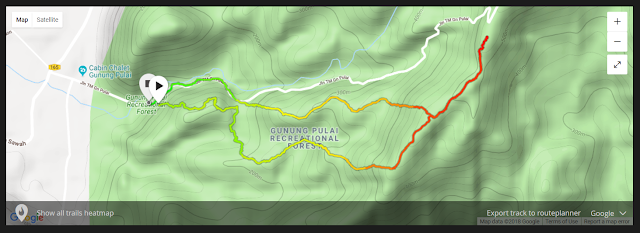 Mount Pulai Day Hike (Jungle Trail No. 2) | Catchingtravels