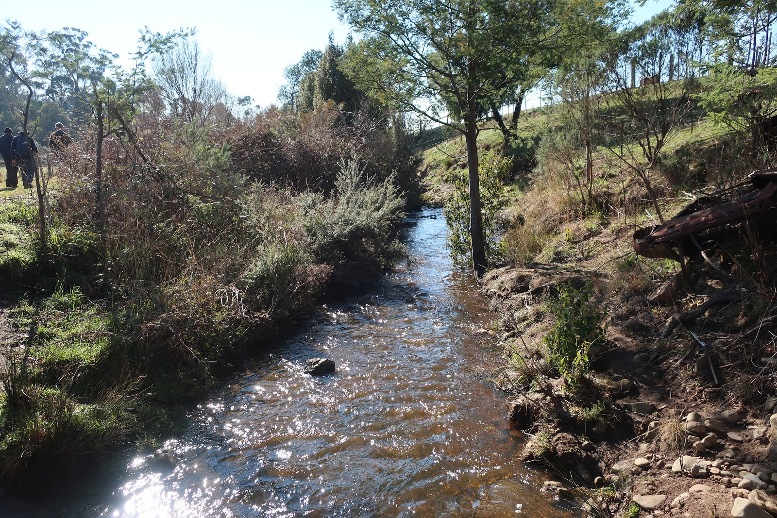 Ramblers : Margate Tramway and Rivulet Tracks