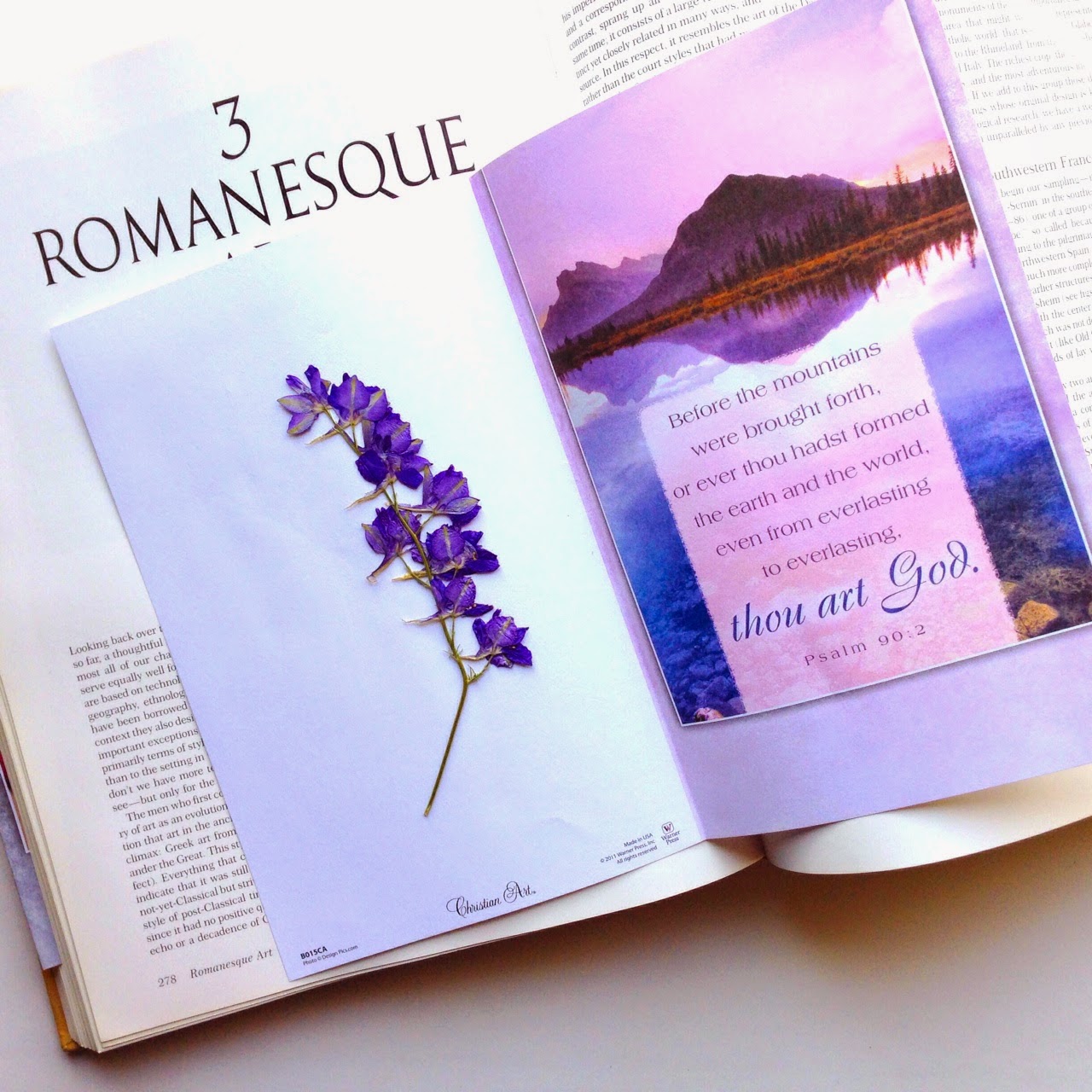 The Lost Art of Letter Writing...Revived!: Pressed Flowers...DIY for ...