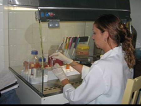 Pé na lama: Laboratório de campo