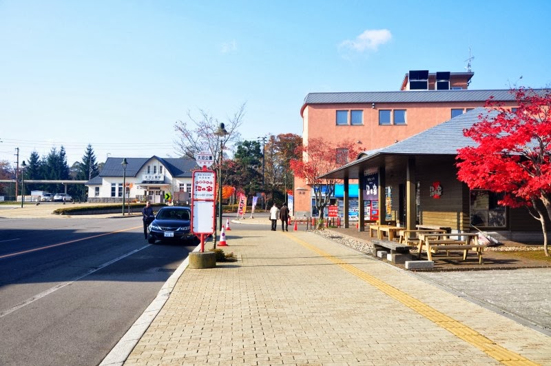 Go Away, Sam...: Japan (Oct2013): Day 6 Onuma-koen, then Hakodate to ...