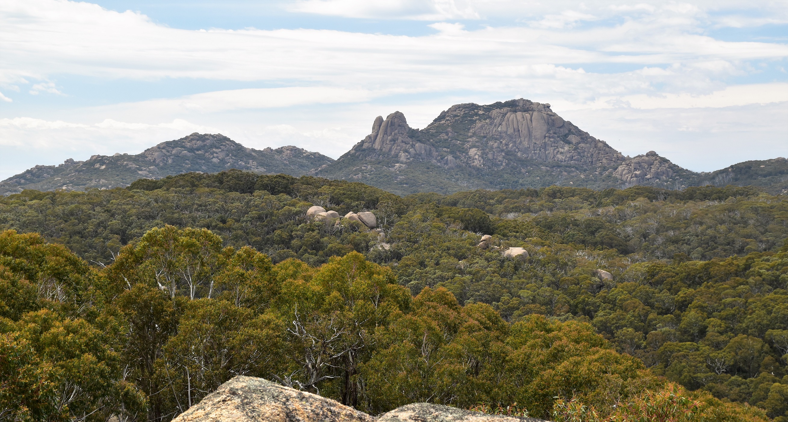 Goin' Feral One Day At A Time: Mt Buffalo Circuit Walk, Mt Buffalo ...